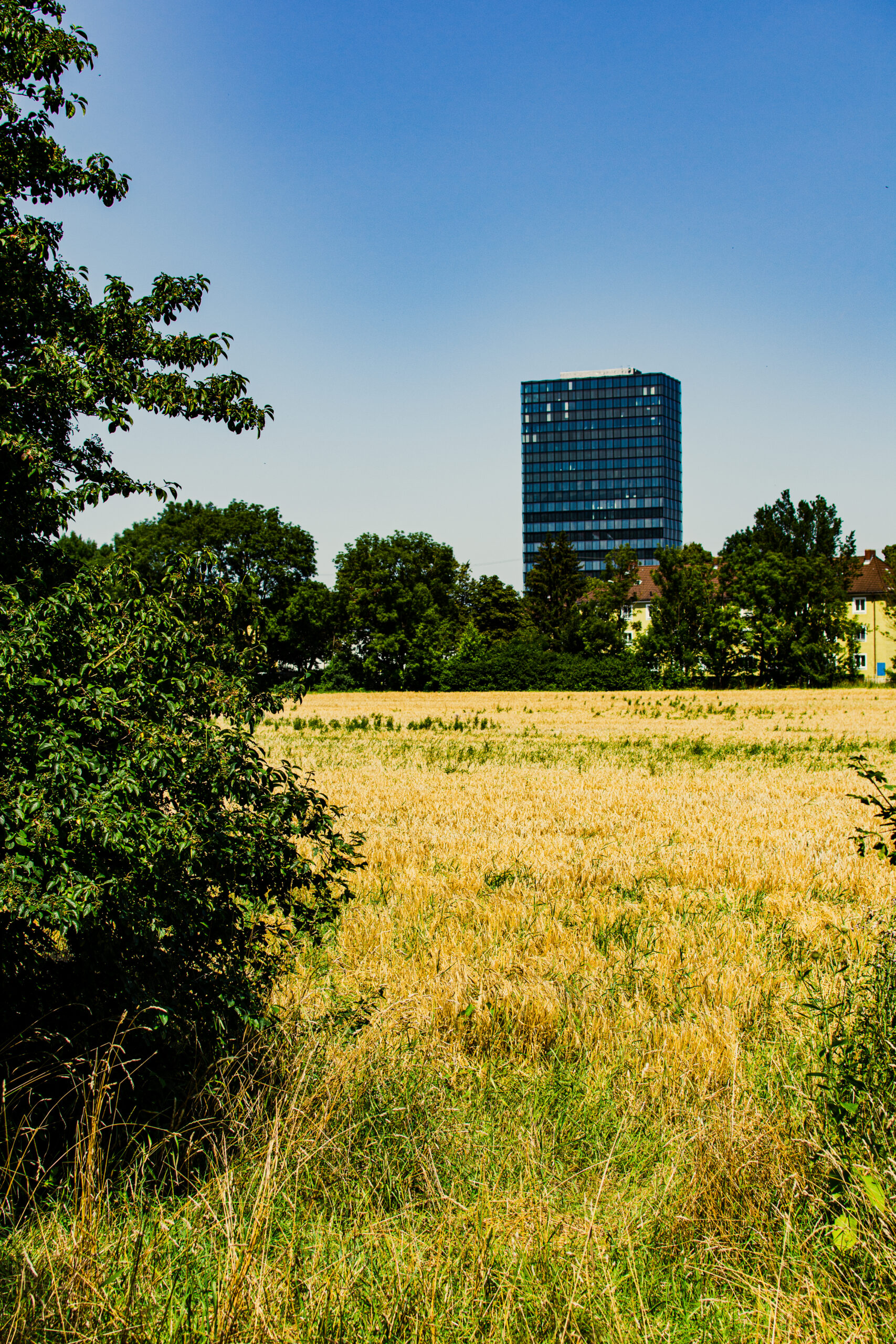 Der Acker – der Ruinentourist